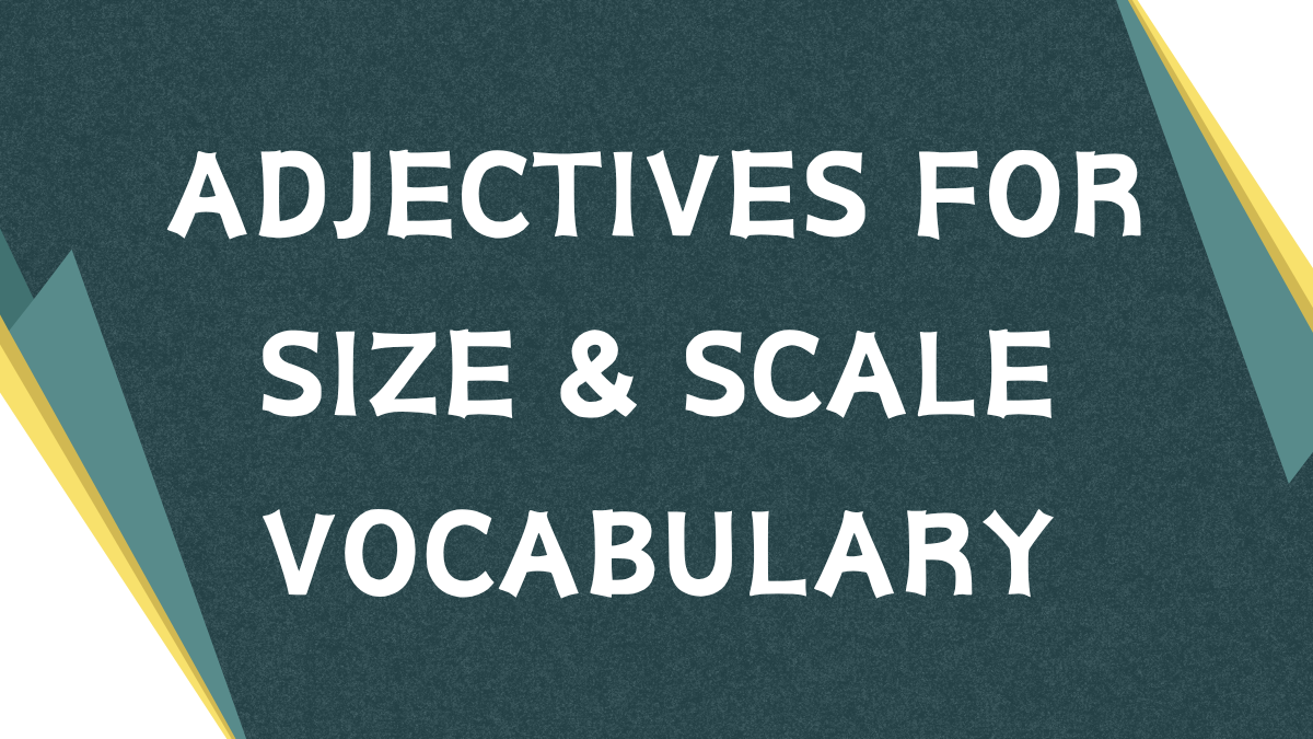 Mastering Size Adjectives: A Comprehensive Guide